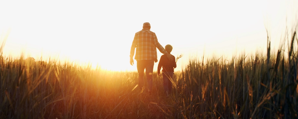 Farm Transition Planning: Navigating Intergenerational Farm Transfers ...