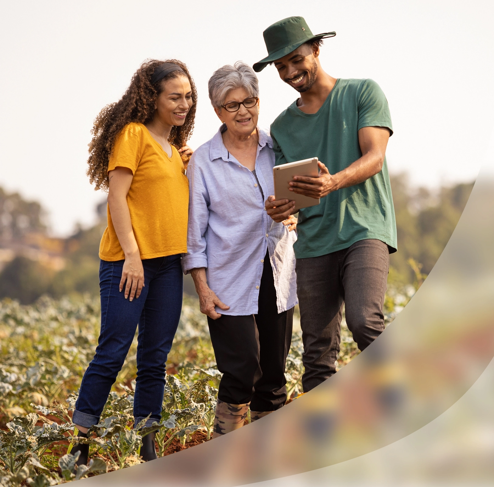 Agricultural Lending Solutions for Farmers | Univest