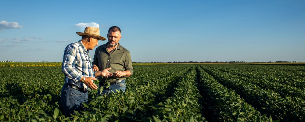 Farm Transition Planning: Navigating Intergenerational Farm Transfers ...